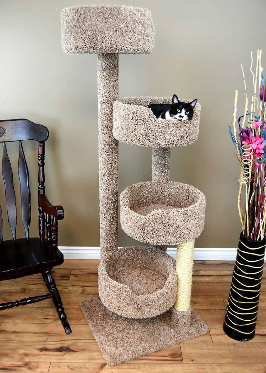 How to Choose a Cat Tree (7 important tips) – Great Cat Info
