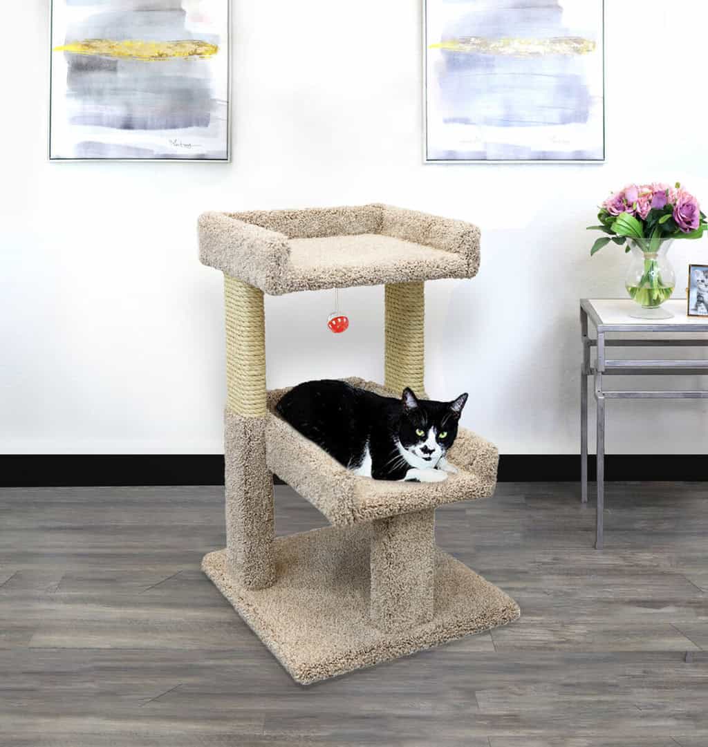 How to Choose a Cat Tree (7 important tips) – Great Cat Info